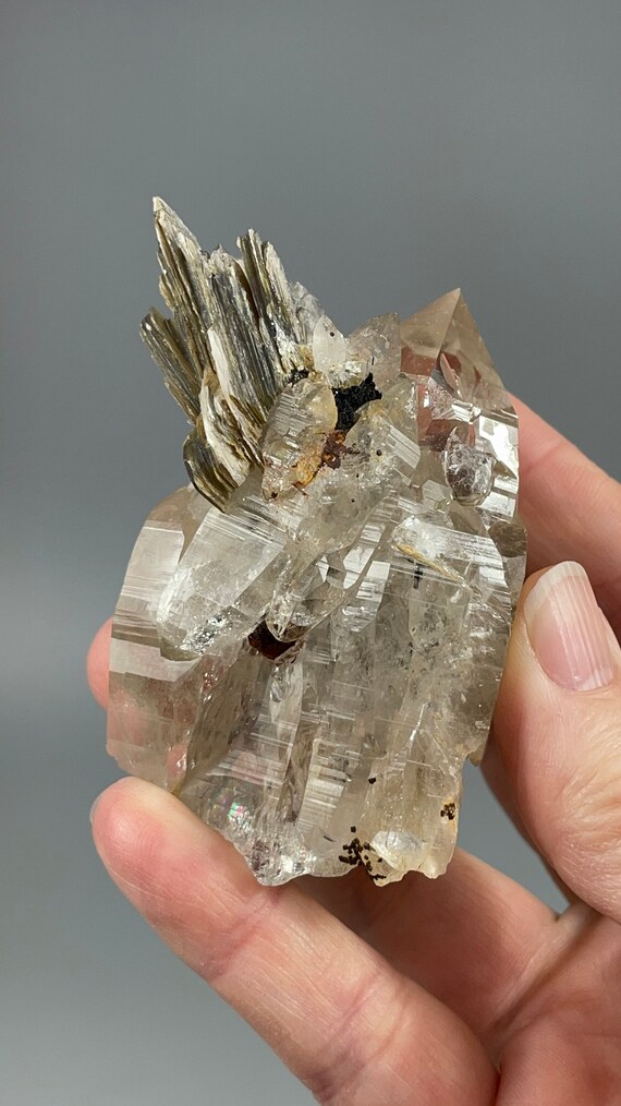 Star Mica Muscovite Mica Cluster With Garnet Included Smoky - Etsy