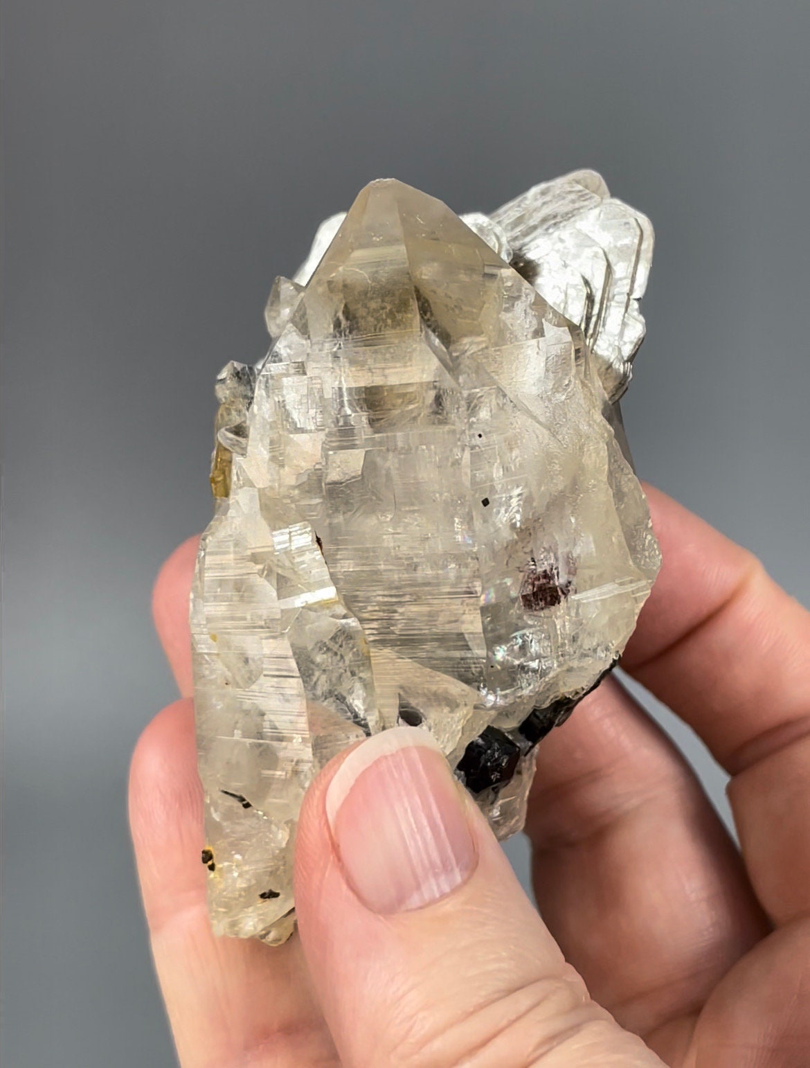 Star Mica Muscovite Mica Cluster With Garnet Included Smoky - Etsy