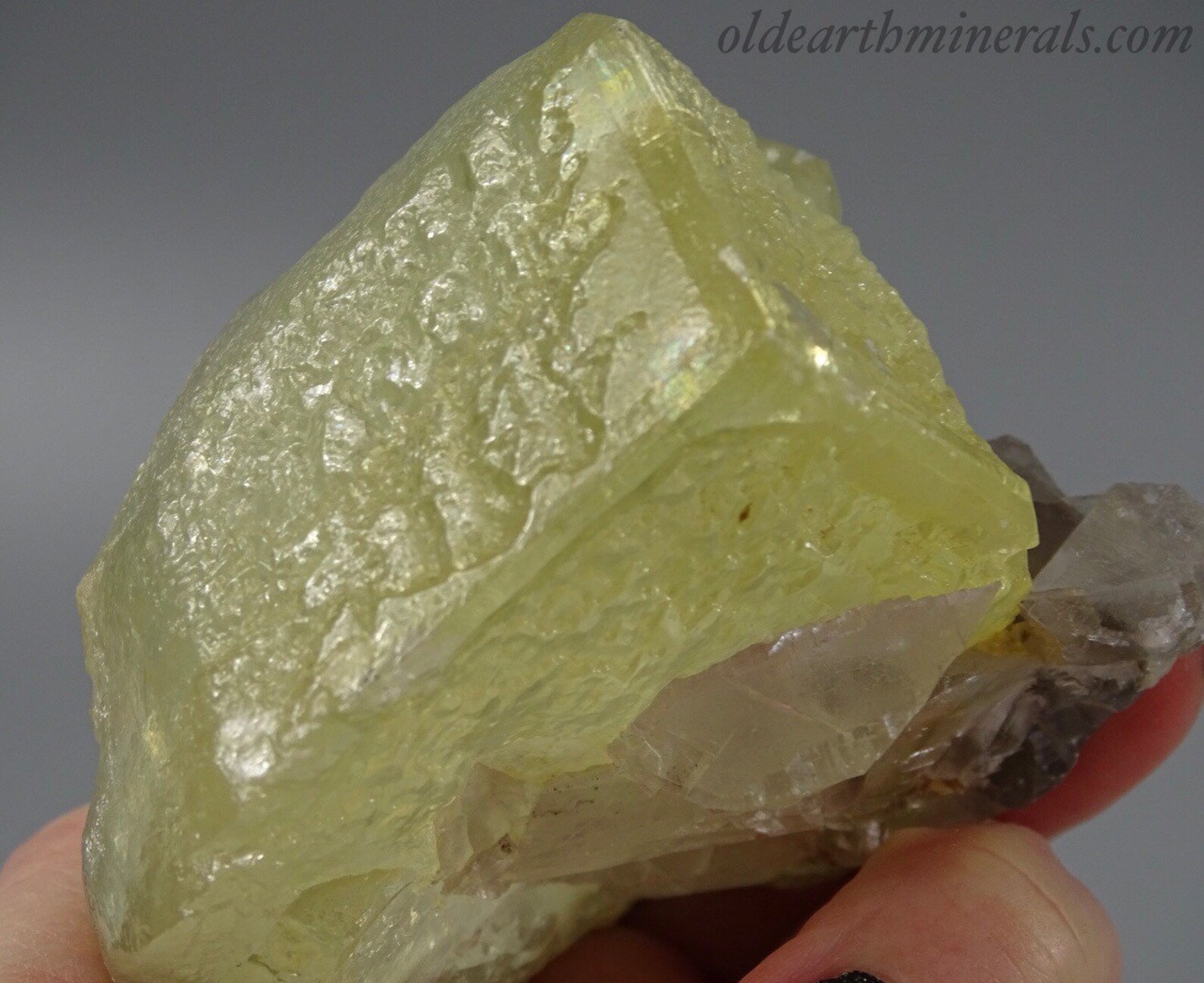 Etched Lemon Calcite Specimen with Gray Fluorite | Etsy