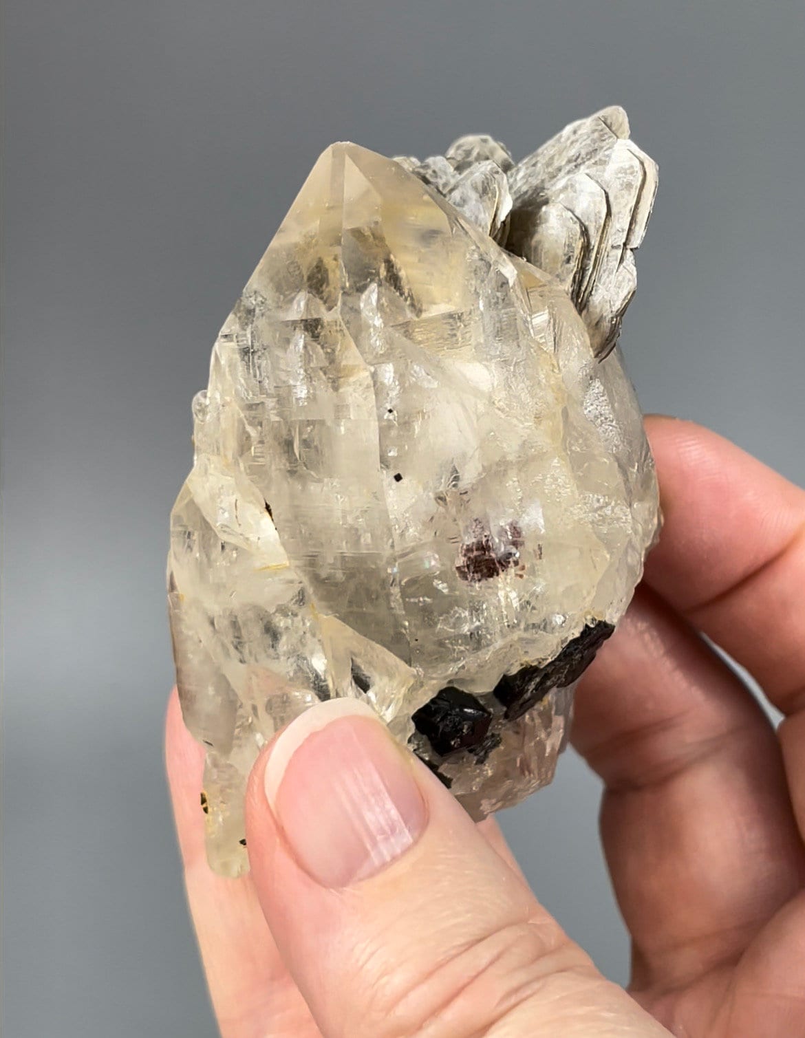 Star Mica Muscovite Mica Cluster With Garnet Included Smoky - Etsy