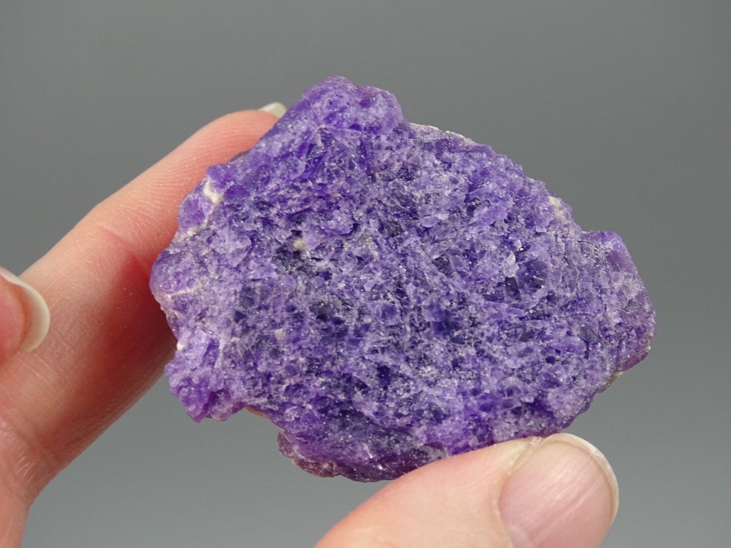 Fluorescent Minerals Set of 7 - Fluorescence, Phosphorescence ...