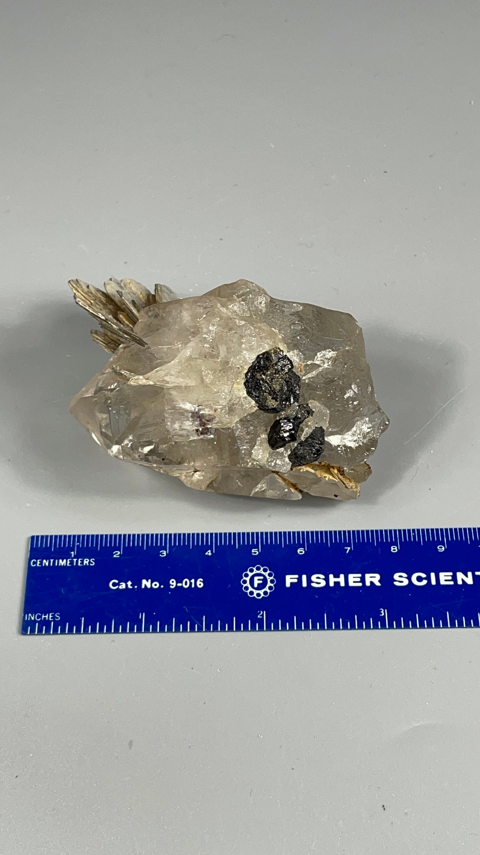 Star Mica Muscovite Mica Cluster With Garnet Included Smoky - Etsy