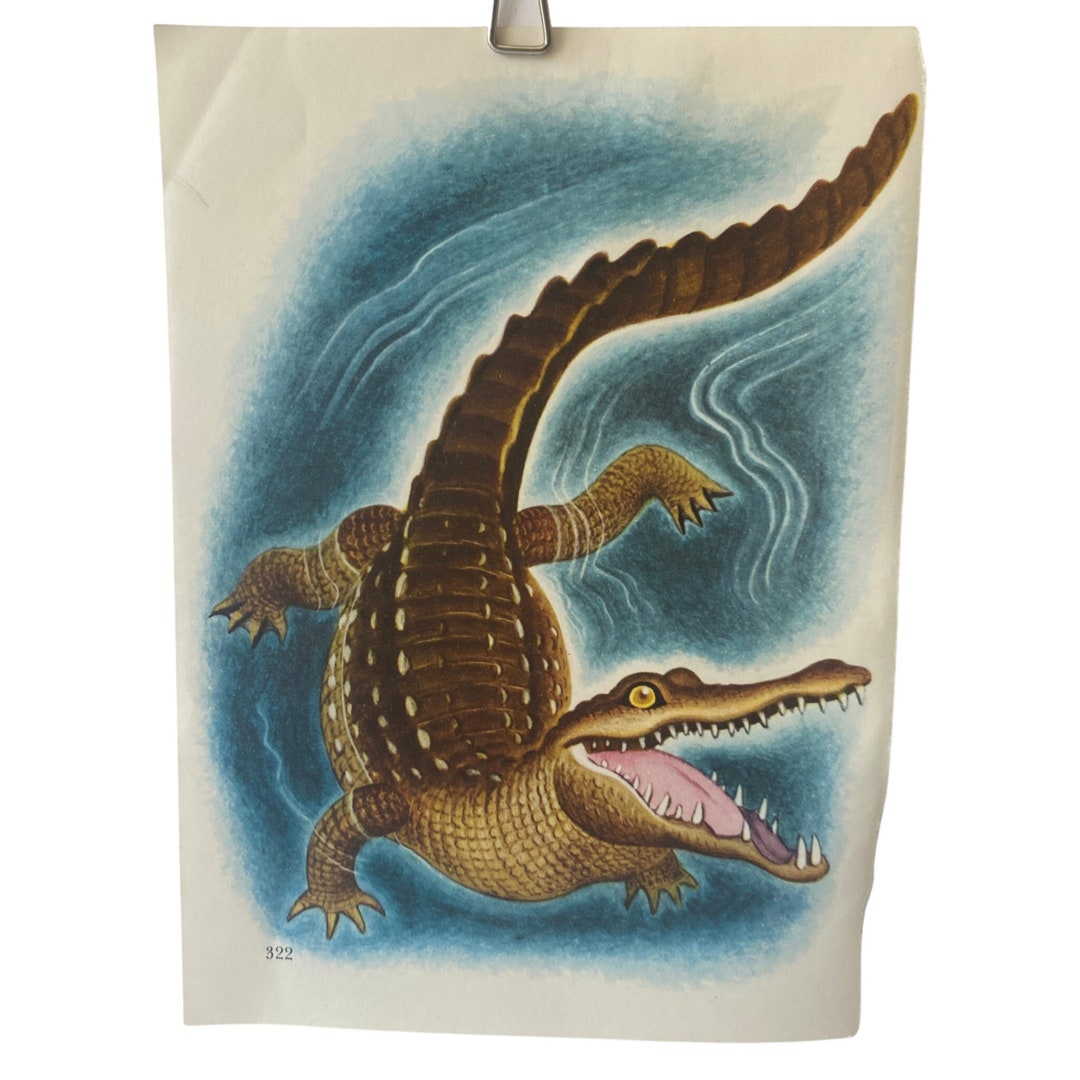 A5 1960s Little Golden Book Illustration Book Page Elephant and ...