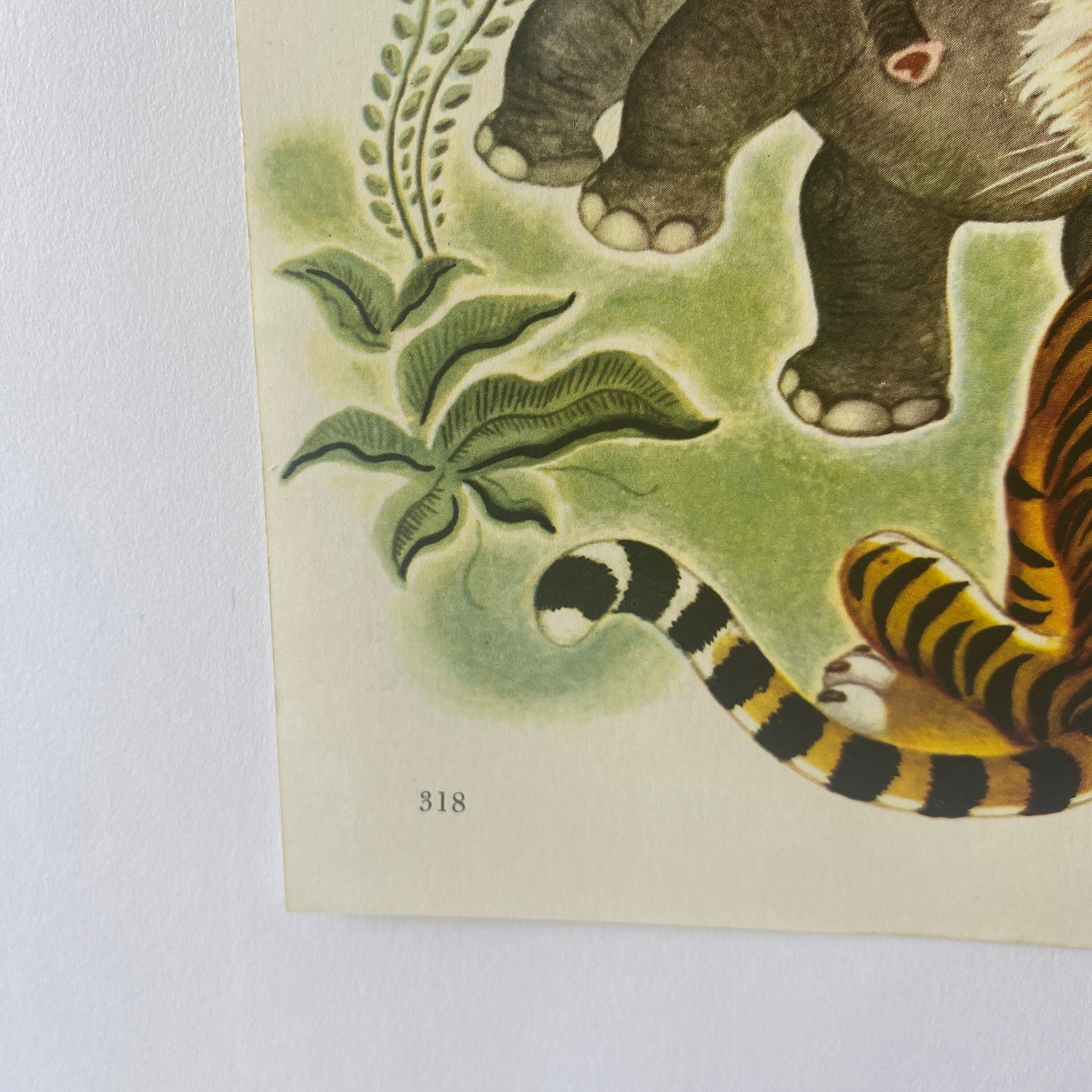 A5 1960s Little Golden Book Illustration Book Page Elephant and Tiger ...