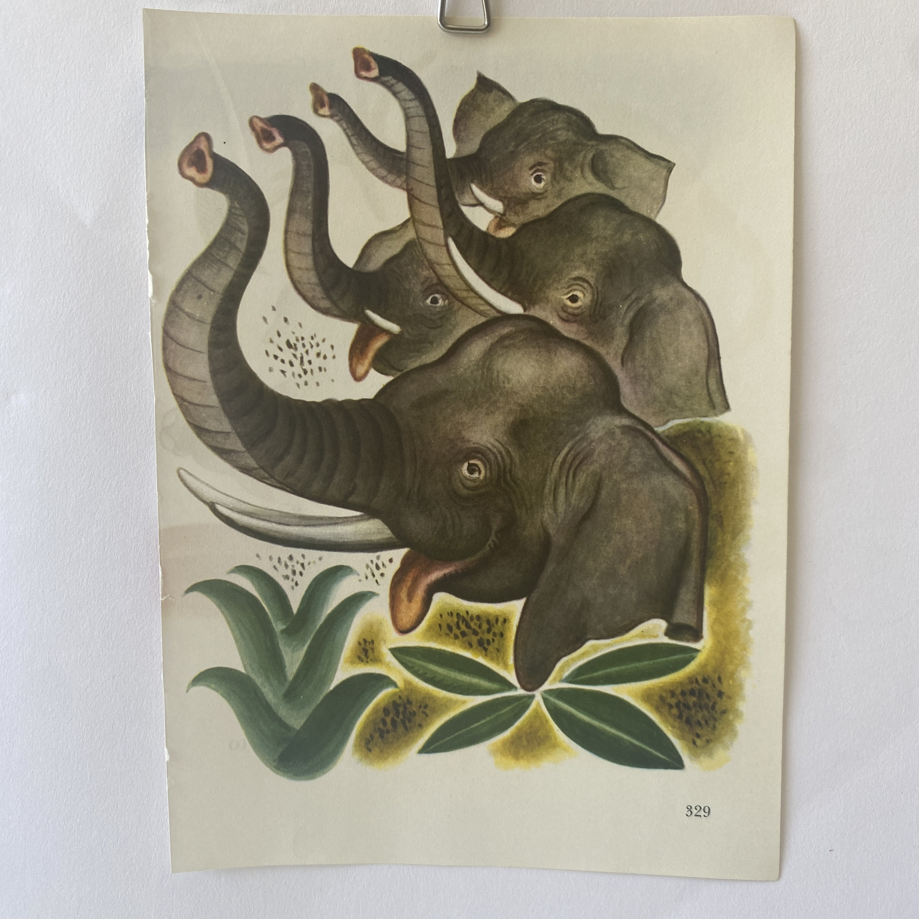 A5 1960s Little Golden Book Illustration Book Page the Saggy Baggy ...
