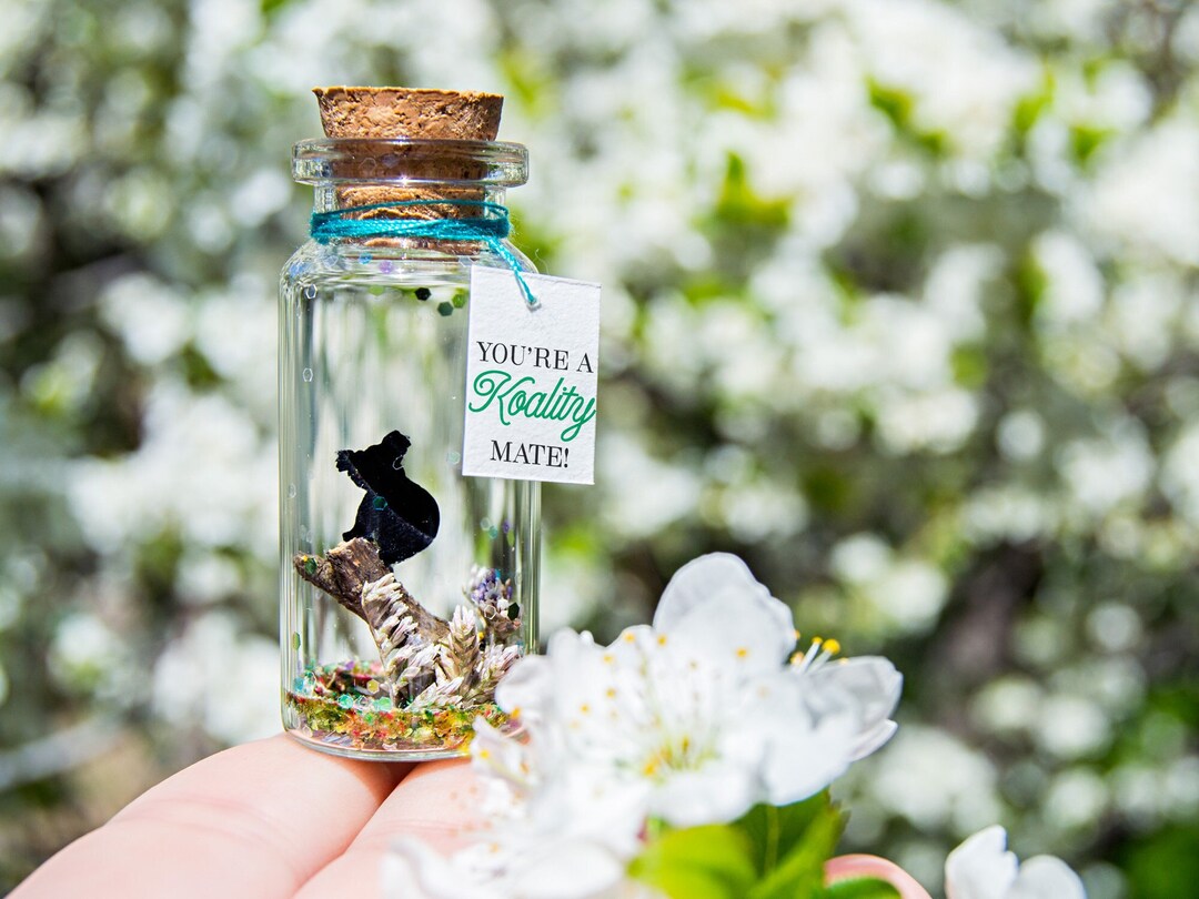 You are a koality mate friend mom dad boyfriend ... Mensaje en una ...