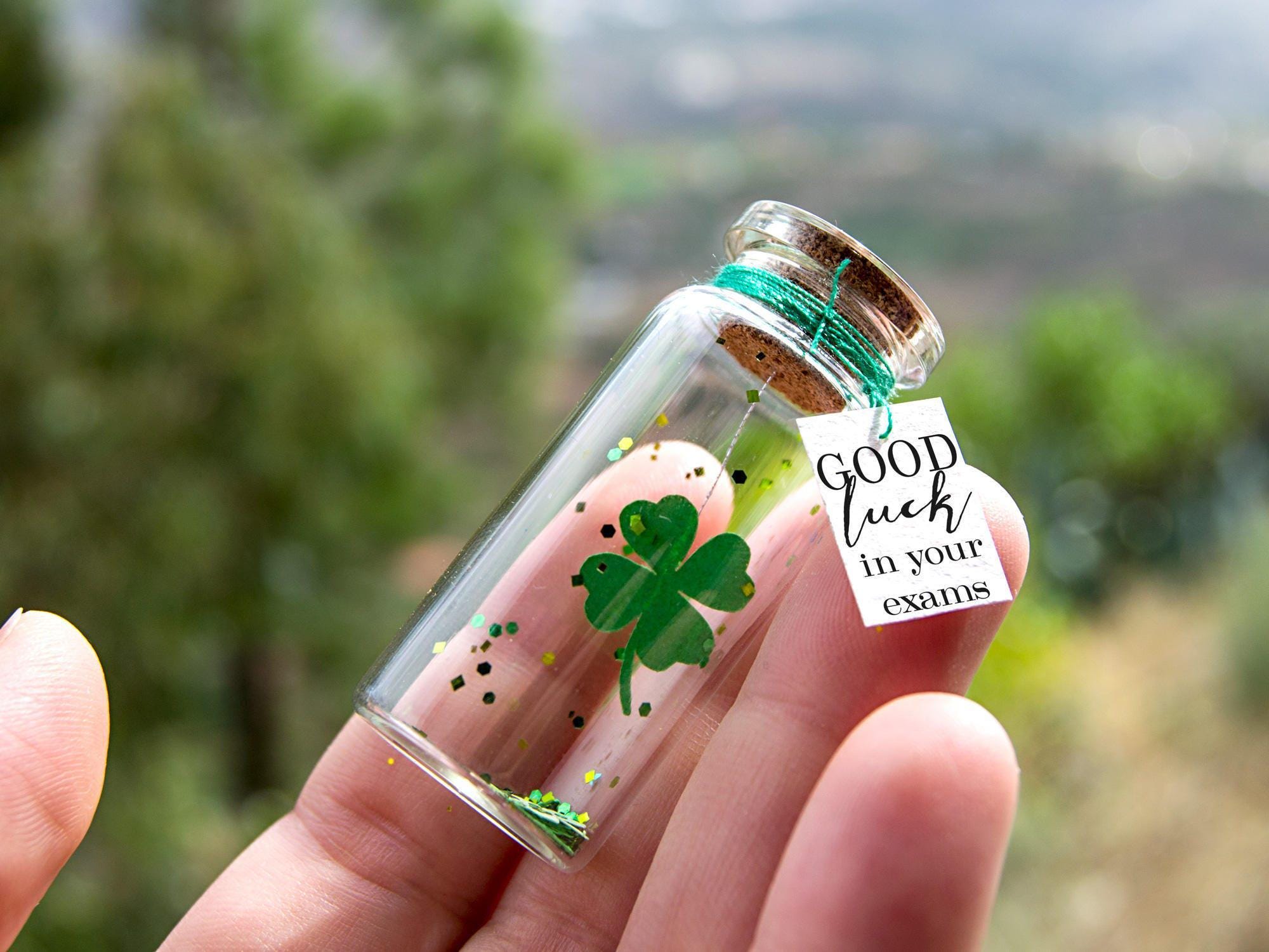 Good Luck Gift Best of Luck Good Luck With Exams New Job Clover Tiny ...