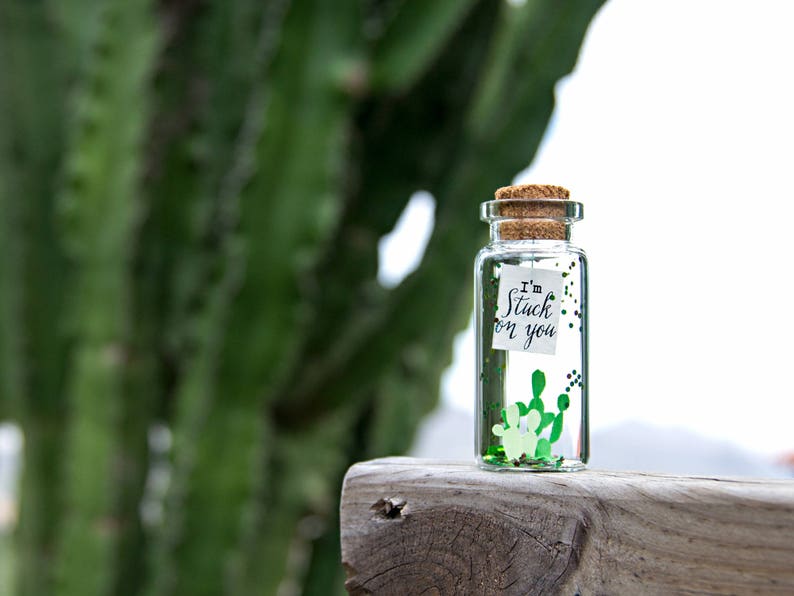 Cactus Gift Stuck on You Personalized Gift Succulent Gift - Etsy