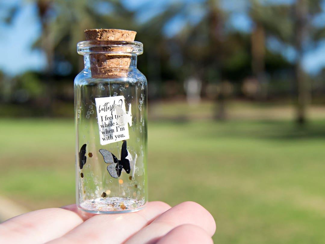 Butterflies in a Jar. Anniversary Gift Butterflies Gift Gift for ...