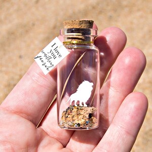 I'm Not Lion... You Are Amazing Gift for Him Lion Gift You | Etsy