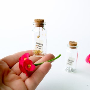 Congratulations so happy for you. Tiny message in a bottle. | Etsy