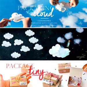 I'm Not Lion... You Are Amazing Gift for Him Lion Gift You | Etsy