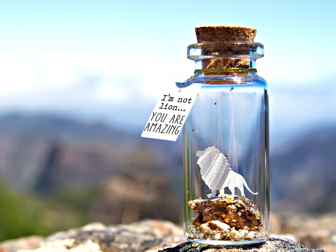 I'm Not Lion... You Are Amazing Gift for Him Lion Gift You Are the King ...