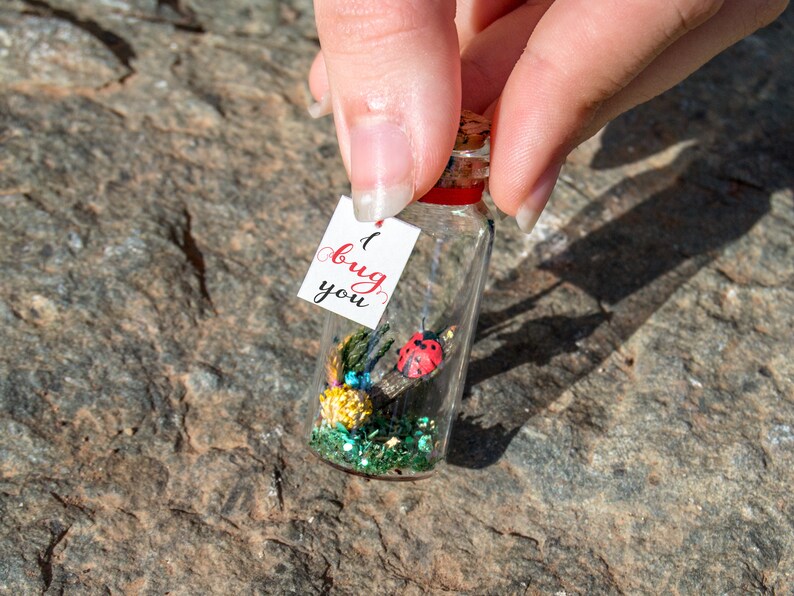 Ladybug Gift for Girlfriend Personalized Gift for Boyfriend | Etsy