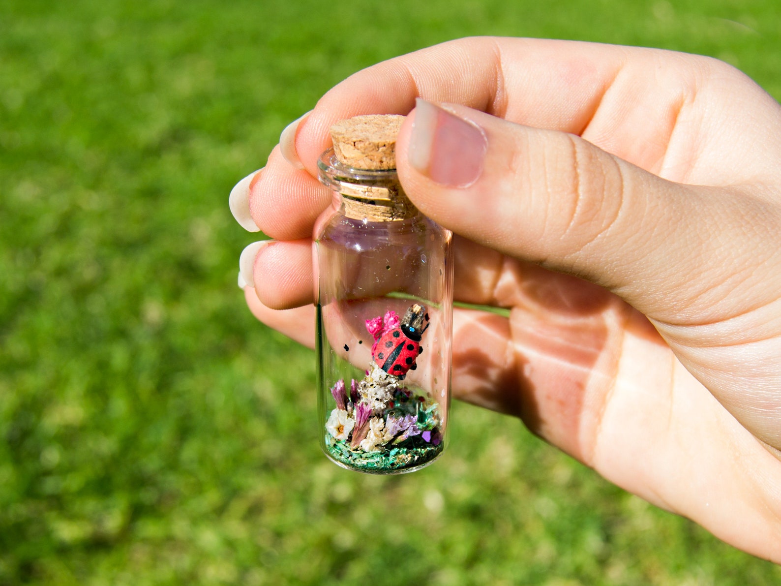 Ladybug Gift for Girlfriend Personalized Gift for Boyfriend | Etsy