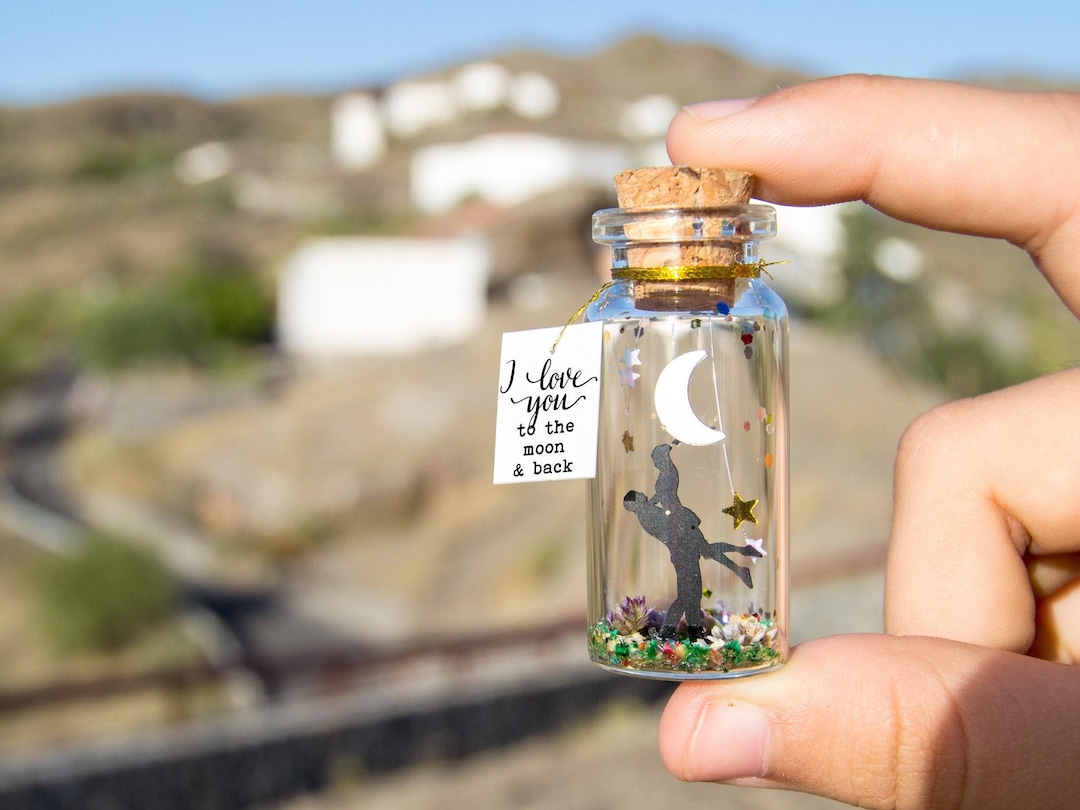 I Love You to the Moon & Back Anniversary Gift for Boyfriend Under Same ...