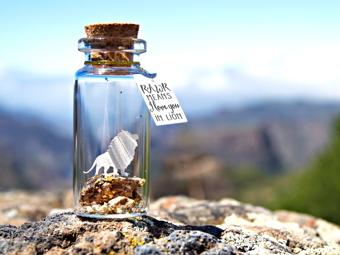 I'm not lion... You are Amazing Gift for Him Lion Gift You | Etsy