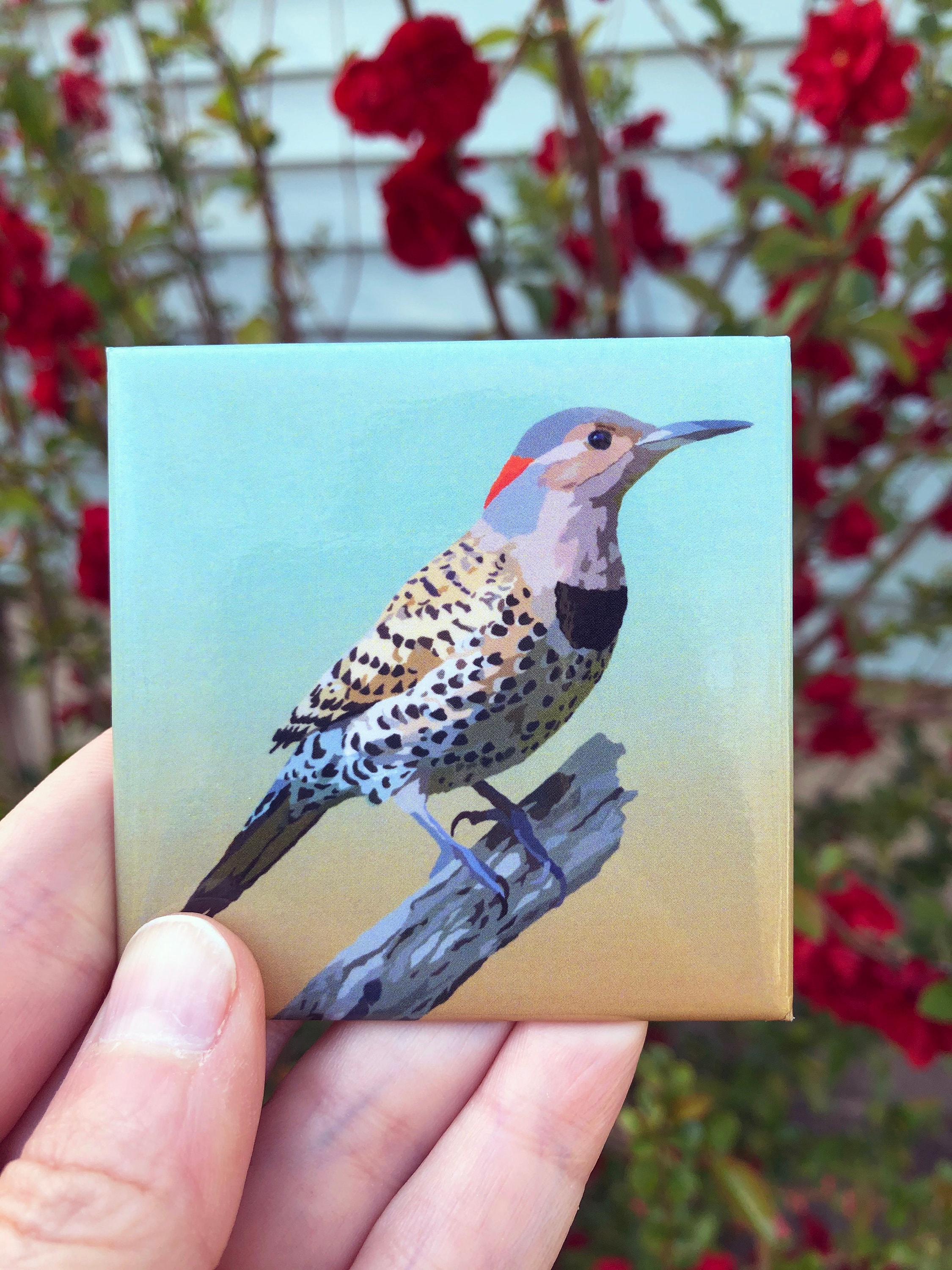 Acrylic Bird Magnets - Etsy