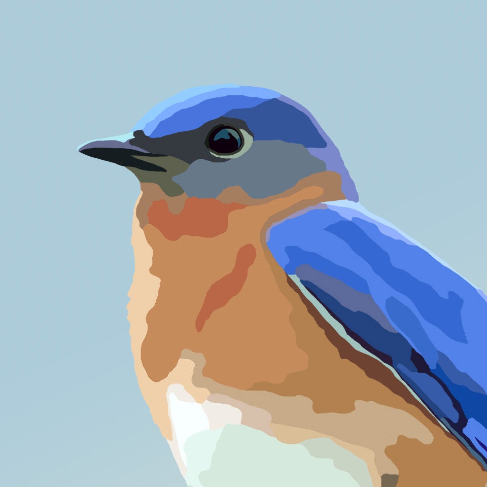 Eastern Bluebird - Bird Art - Graphic Art Print - Etsy