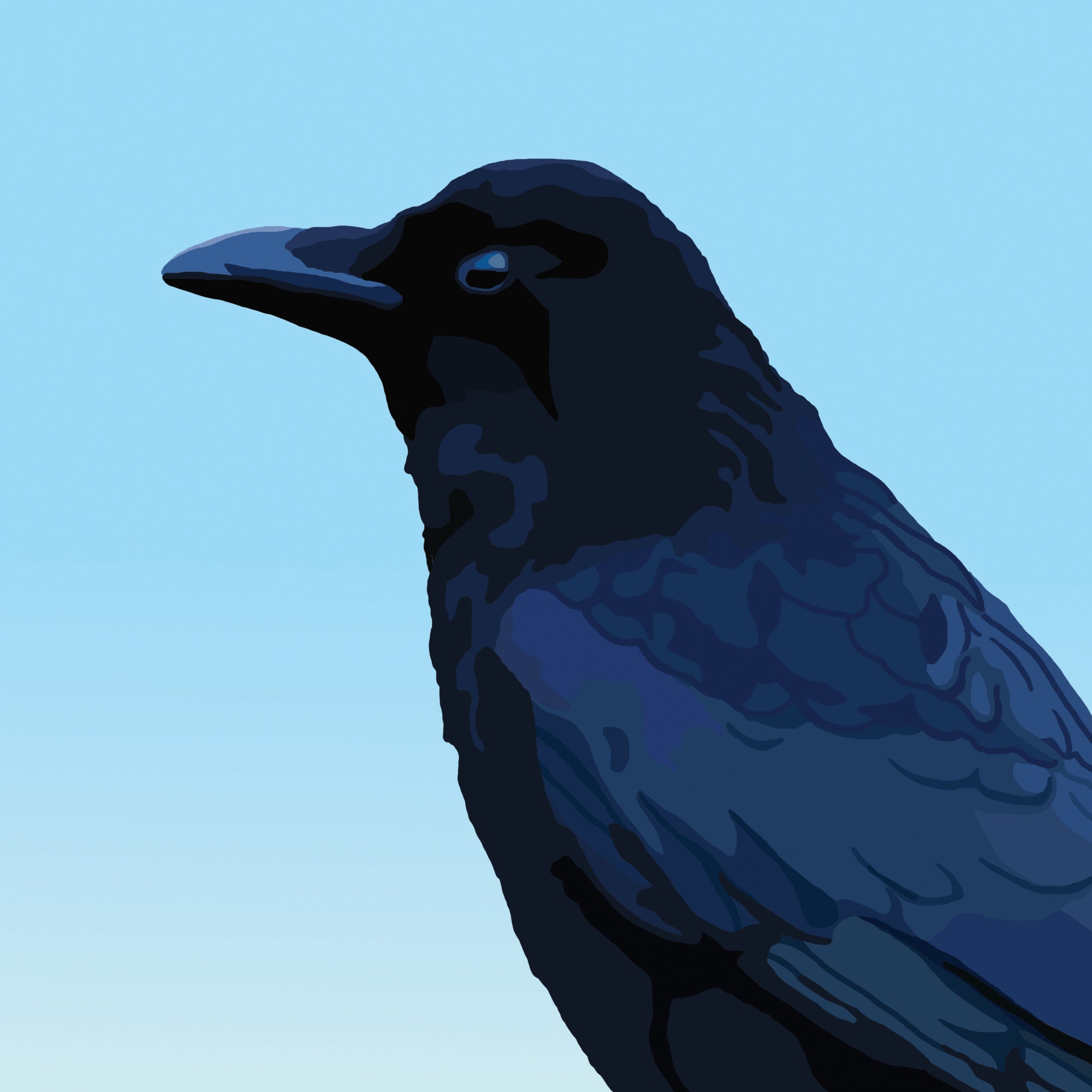 American Crow Bird Art Graphic Art Print - Etsy