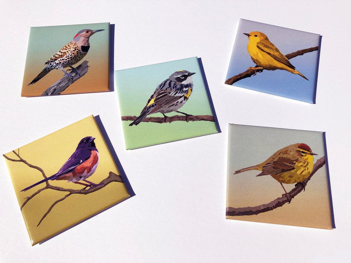 Acrylic Bird Magnets - Etsy