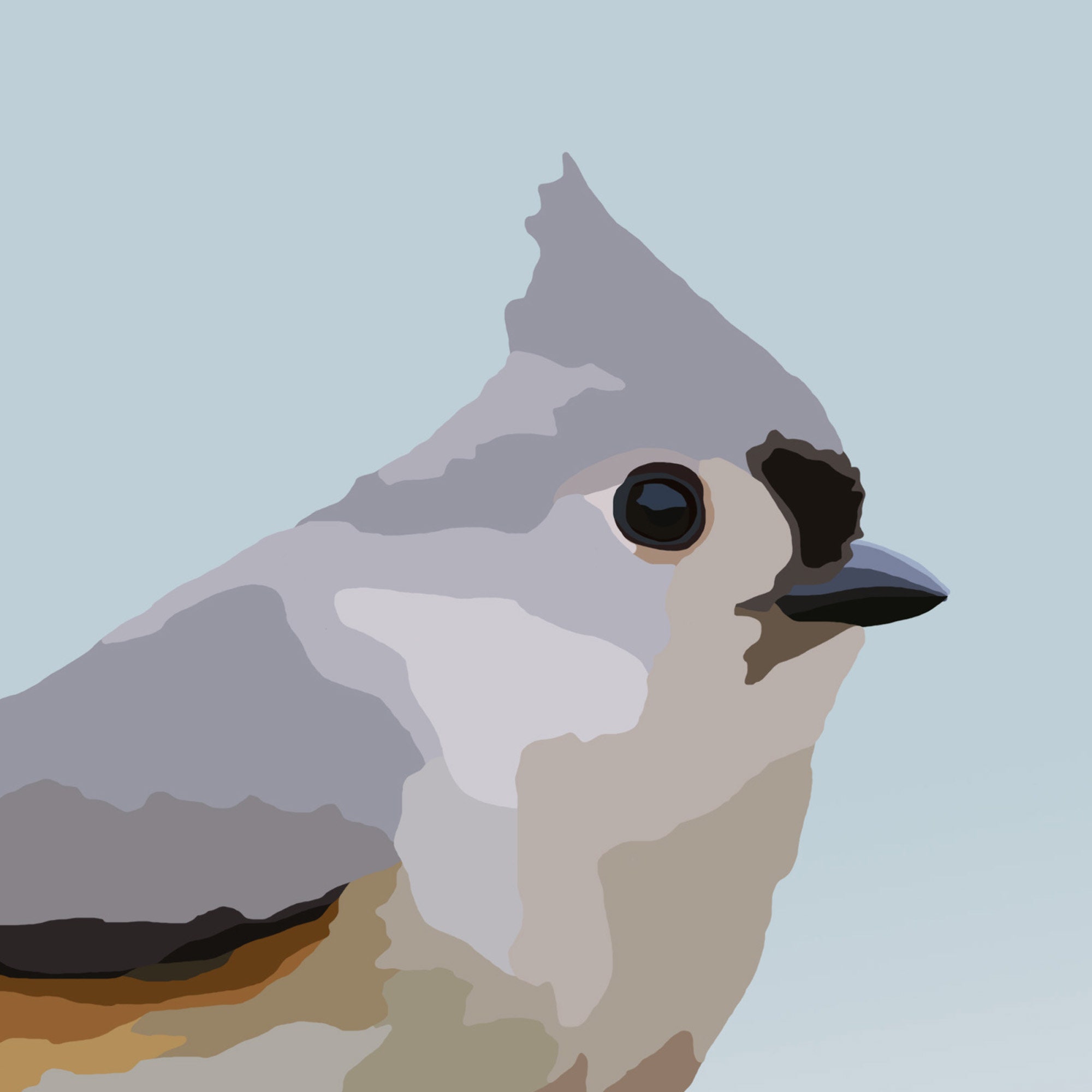 Tufted Titmouse - Bird Art - Graphic Art Print - Etsy