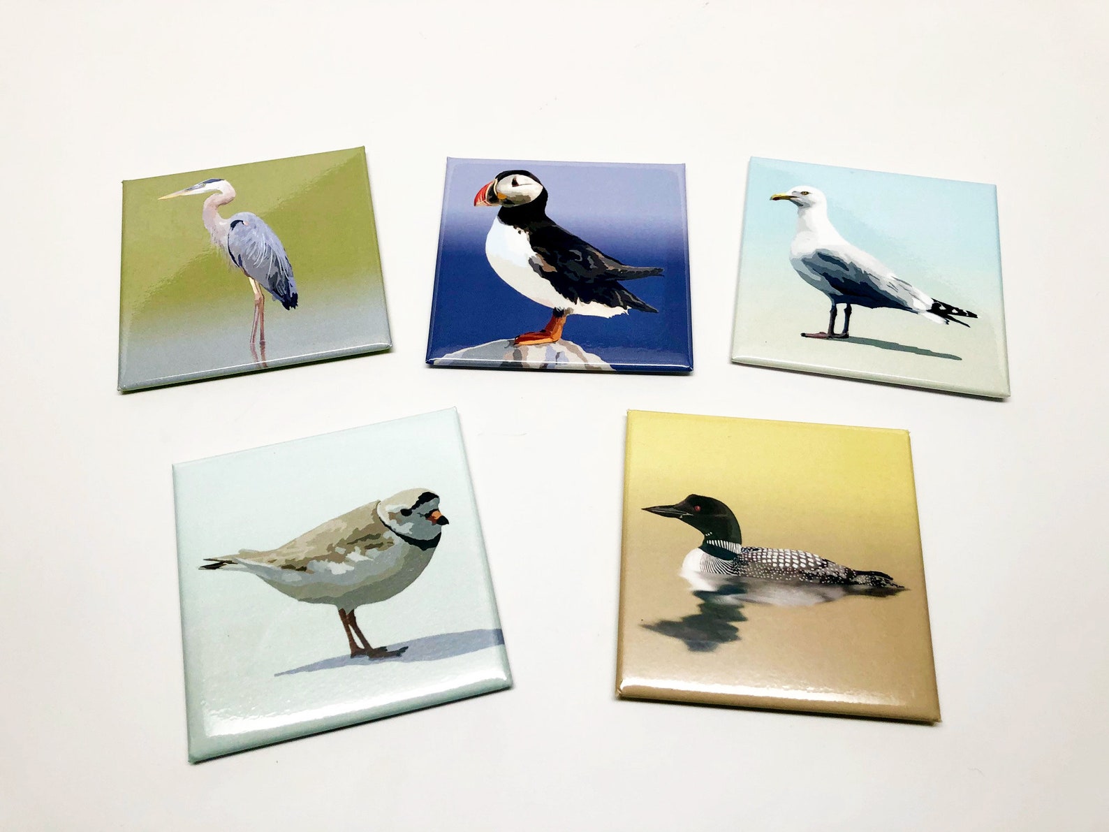 Acrylic Bird Magnets - Etsy