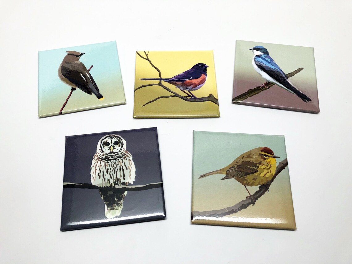Acrylic Bird Magnets - Etsy