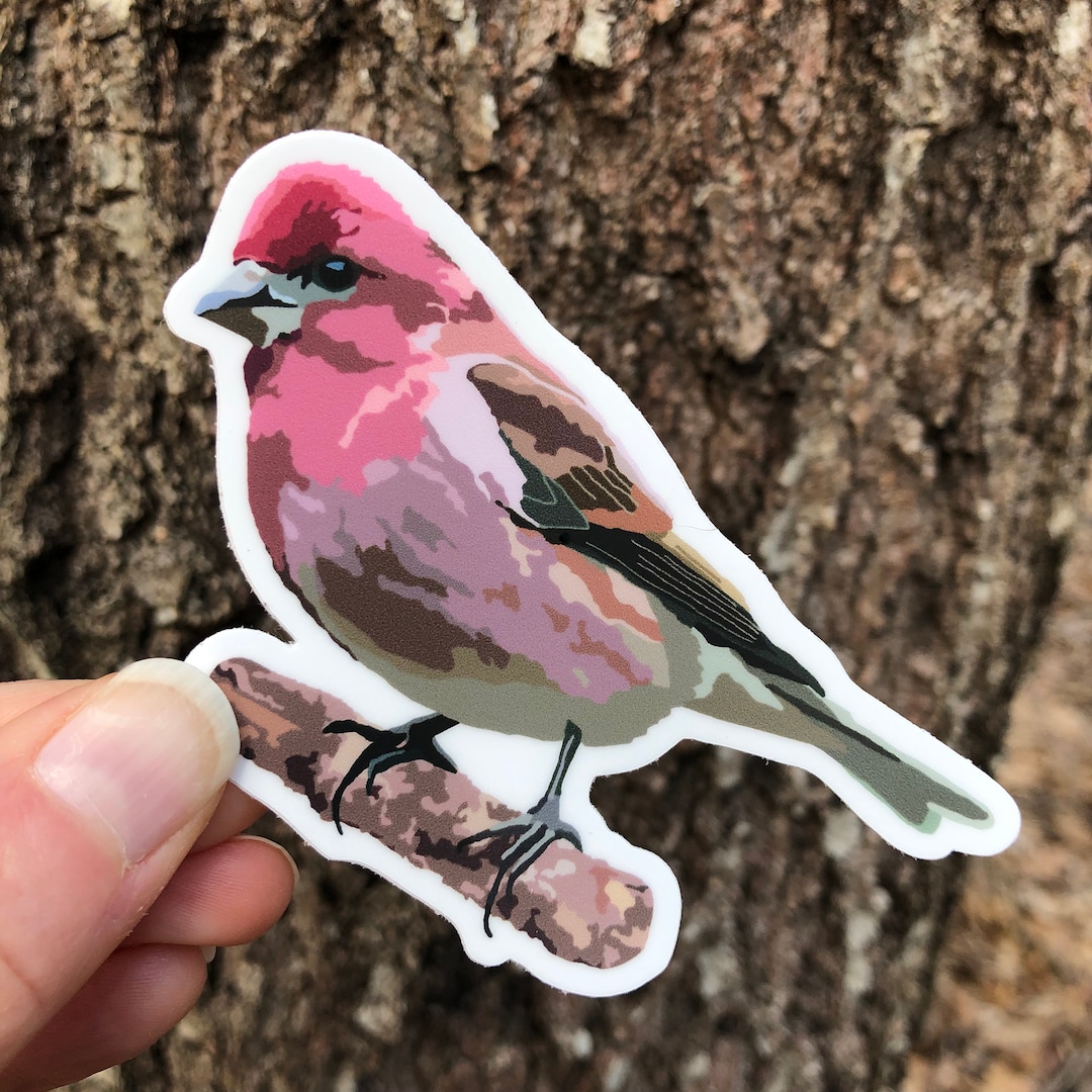 Purple Finch Vinyl Sticker/decal - Etsy