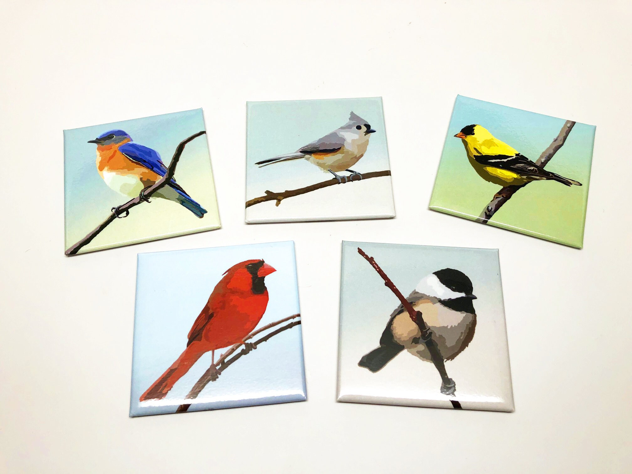 Acrylic Bird Magnets - Etsy