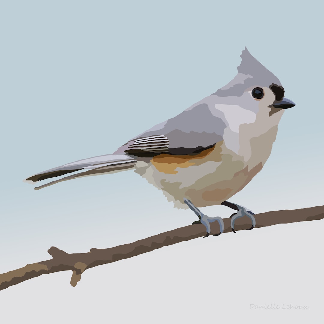 Tufted Titmouse - Bird Art - Graphic Art Print - Etsy