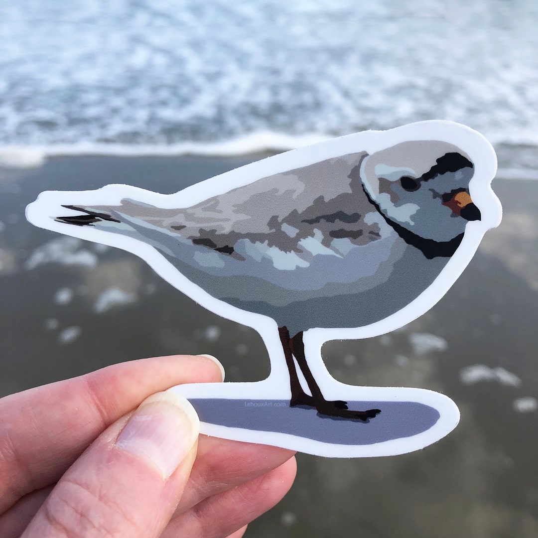 Piping Plover Vinyl Sticker/decal - Etsy