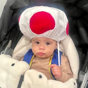 Toad Costume: Handmade Vest, Pants & Mushroom Cap - Super Mario ...