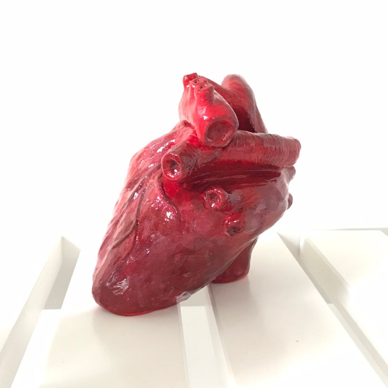 Realistic Human Heart Candle Holder - Etsy UK