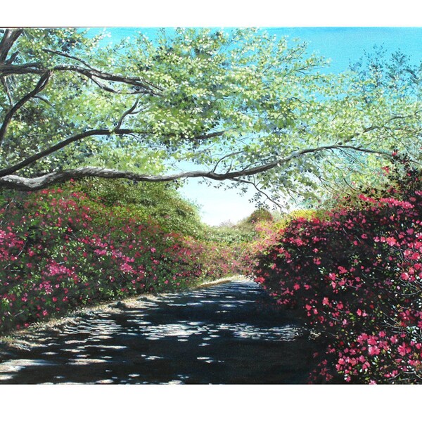 Trailing Azalea - Etsy