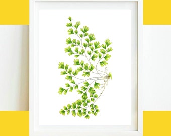 Botanical Flower Print, Unframed A4, A5, A6, 8x10, White Hydrangea ...