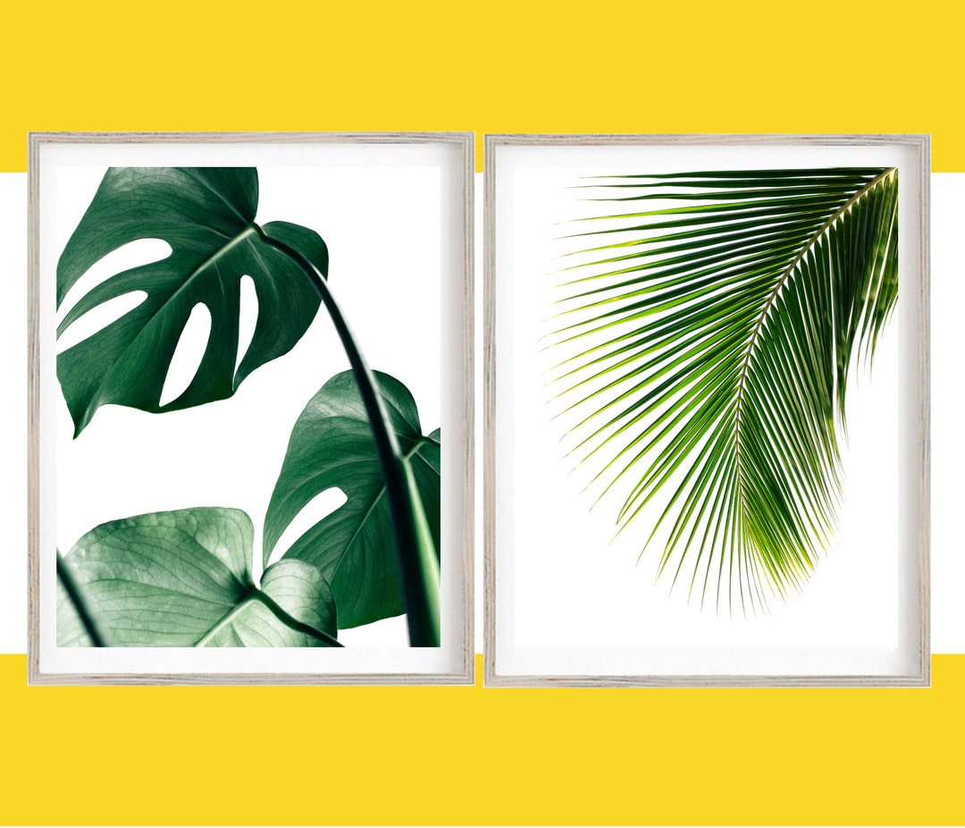 Set of 2, Botanical Prints, Monstera, Palm Leaf, Unframed A4, A5, A6 ...