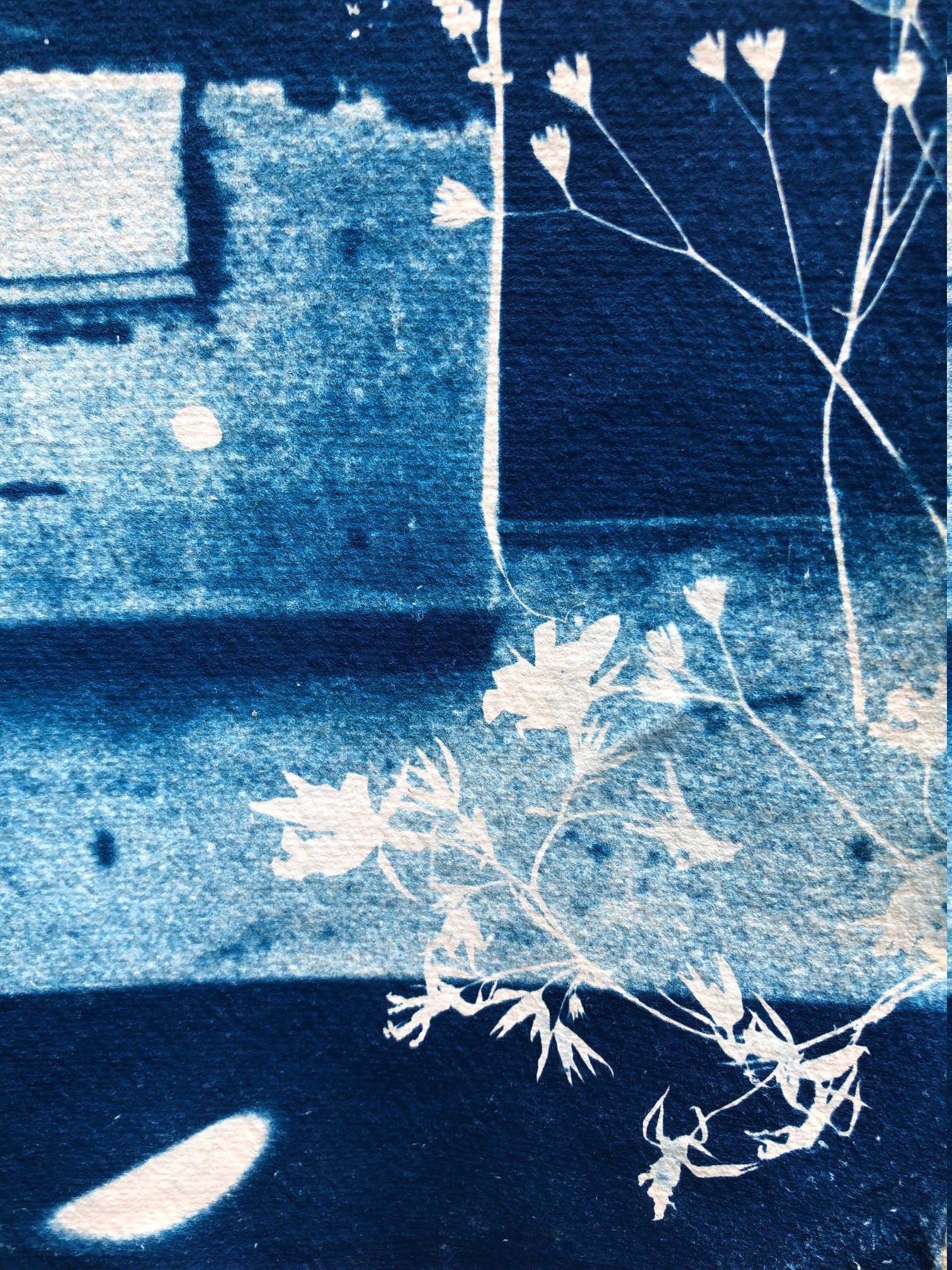Big Cyanotype/blueprint of Analog Photo - Etsy