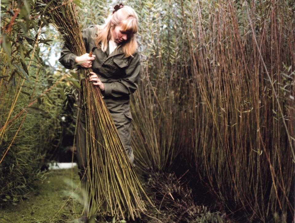 Woodee Log Loop - Etsy