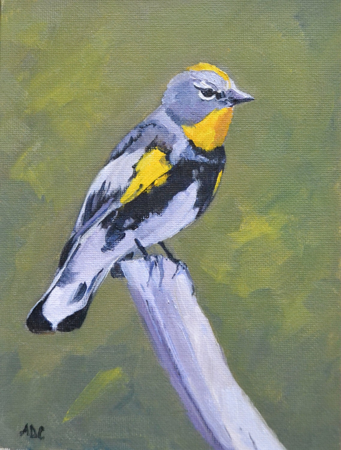 Bird Painting, Bird Art, Oil Painting, Small Art, Wildlife Painting ...