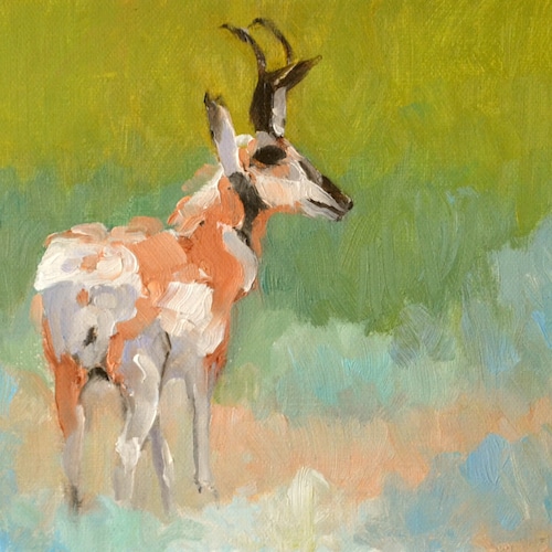 AlanCrumpStudio - Etsy