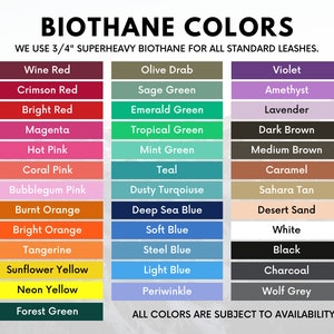 Trailblazer Customizable Braided Biothane® Dog Leash, Dog Lead ...