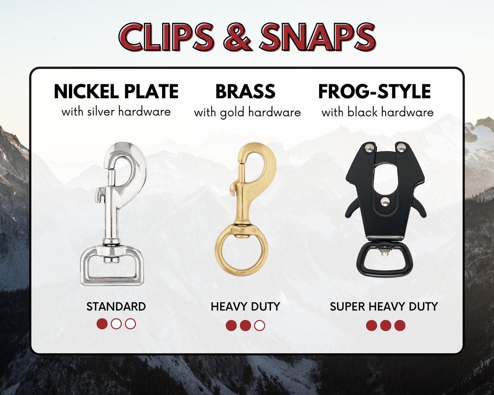 Trailblazer Customizable Braided Biothane® Dog Leash Dog - Etsy