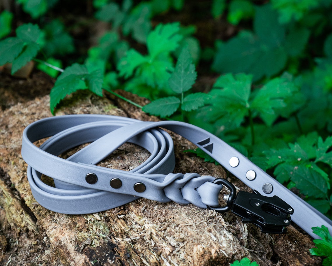Trailblazer Customizable Braided Biothane® Dog Leash Dog - Etsy