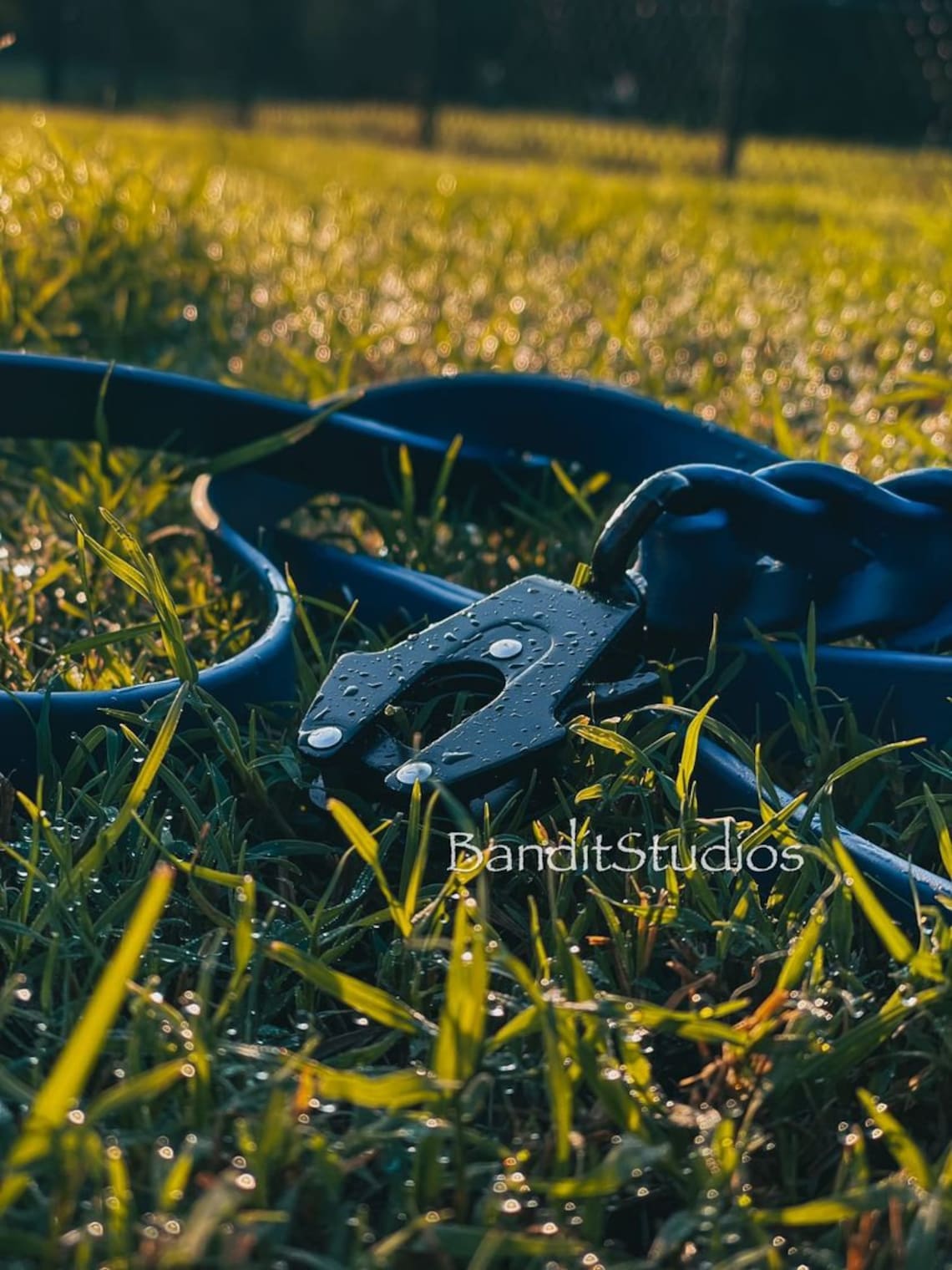 Trailblazer Customizable Braided Biothane® Dog Leash Dog - Etsy