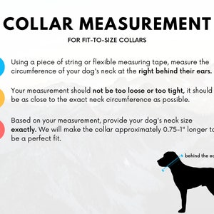 Atlas Customizable Slip Biothane® Collar, Quick Release, 1 Inch Wide ...