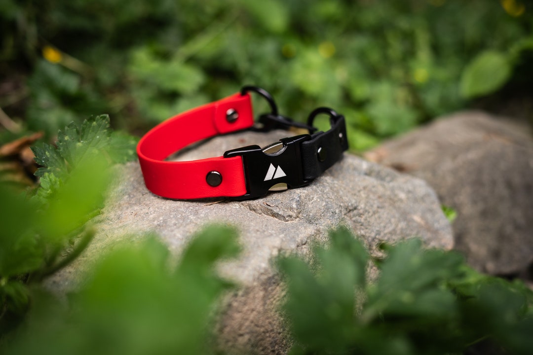 Atlas Biothane® E-collar Strap, 1 Inch Wide, Quick Release, Bungee - Etsy