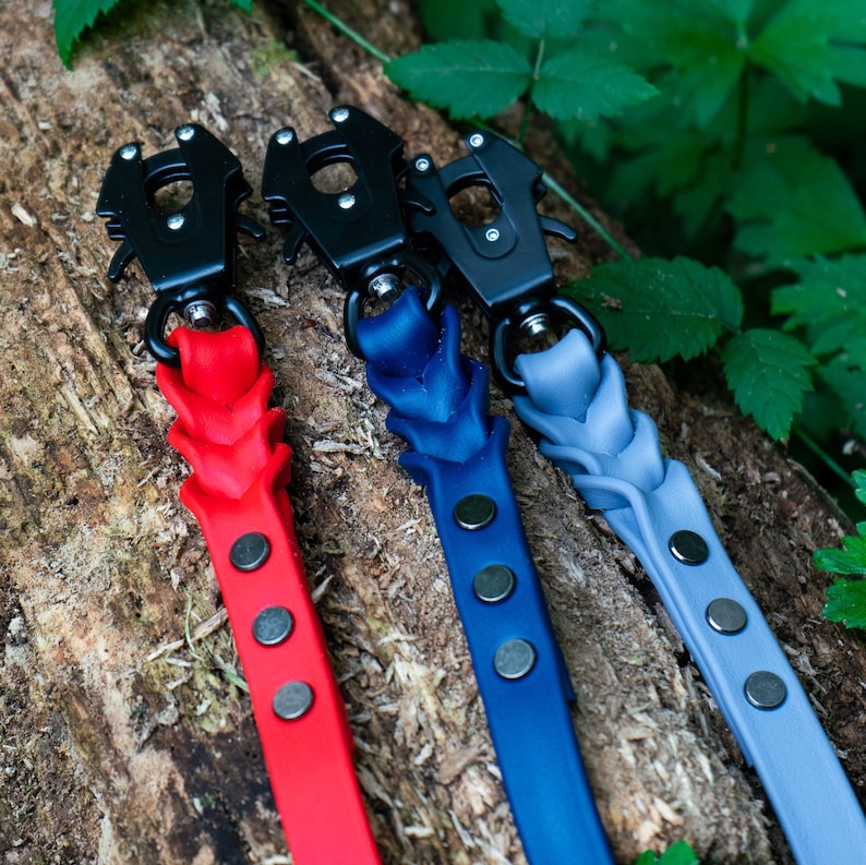 Trailblazer Customizable Braided Biothane® Dog Leash Dog - Etsy