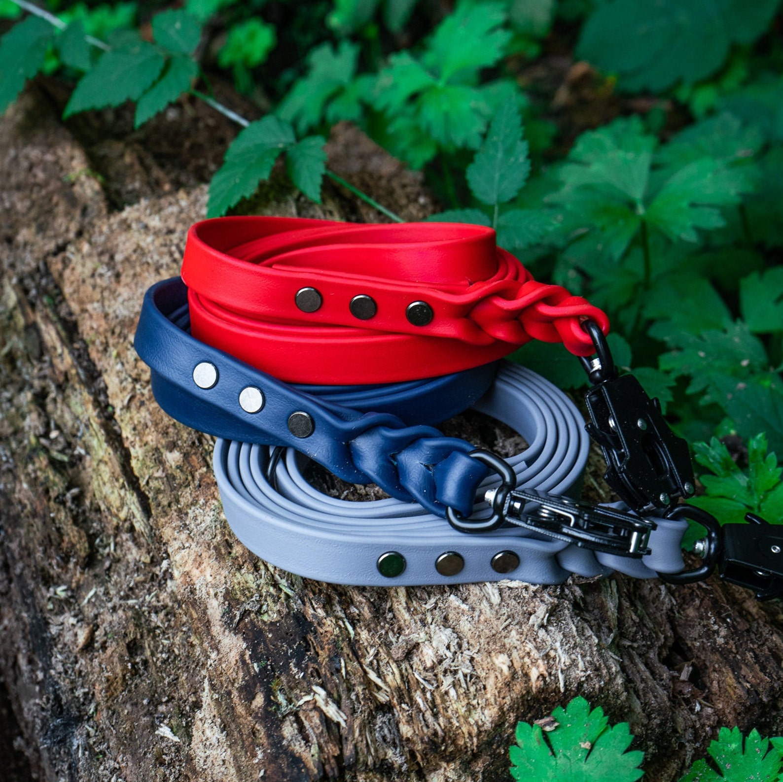 Trailblazer Customizable Braided Biothane® Dog Leash Dog - Etsy