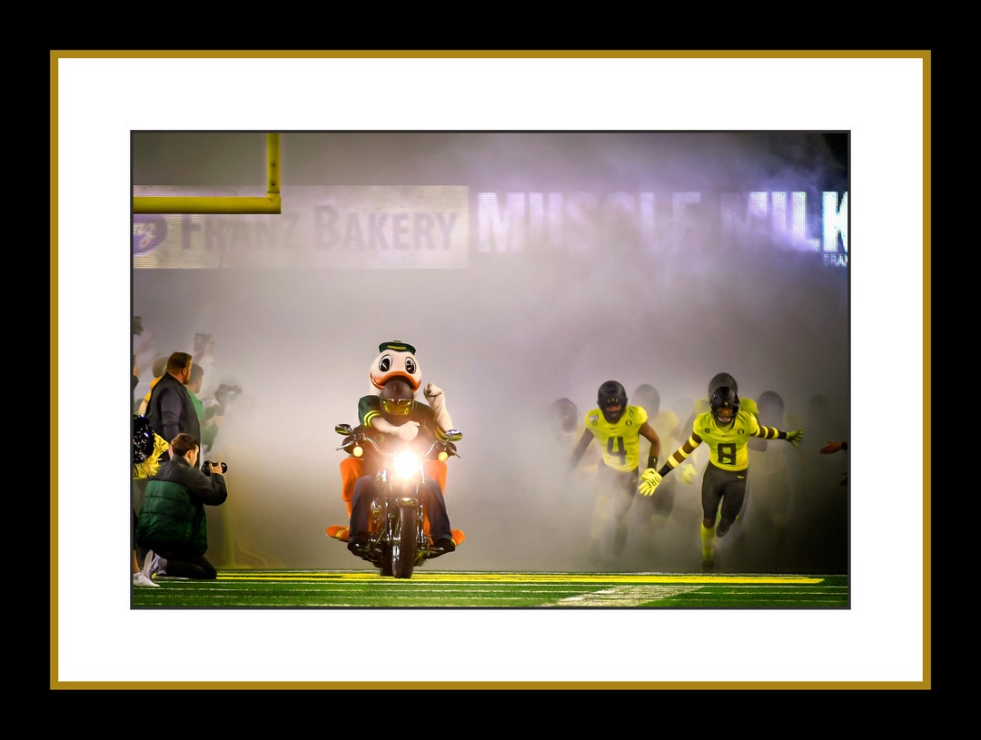 Here Come the Ducks! Duck Harley Leads the Team Into Autzen. Oregon ...